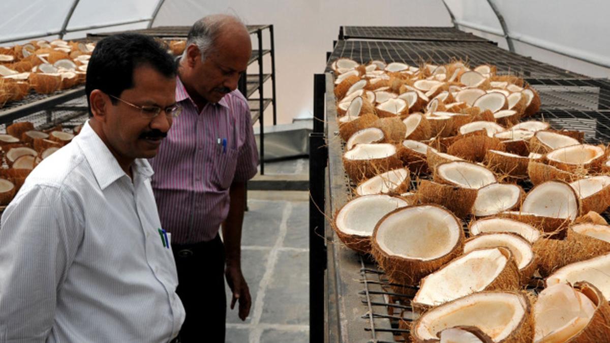 A solar drier unit to turn coconut to copra - The Hindu