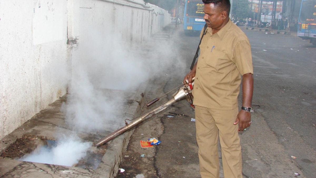 Intensive anti-mosquito fogging operation launched by civic body - The ...