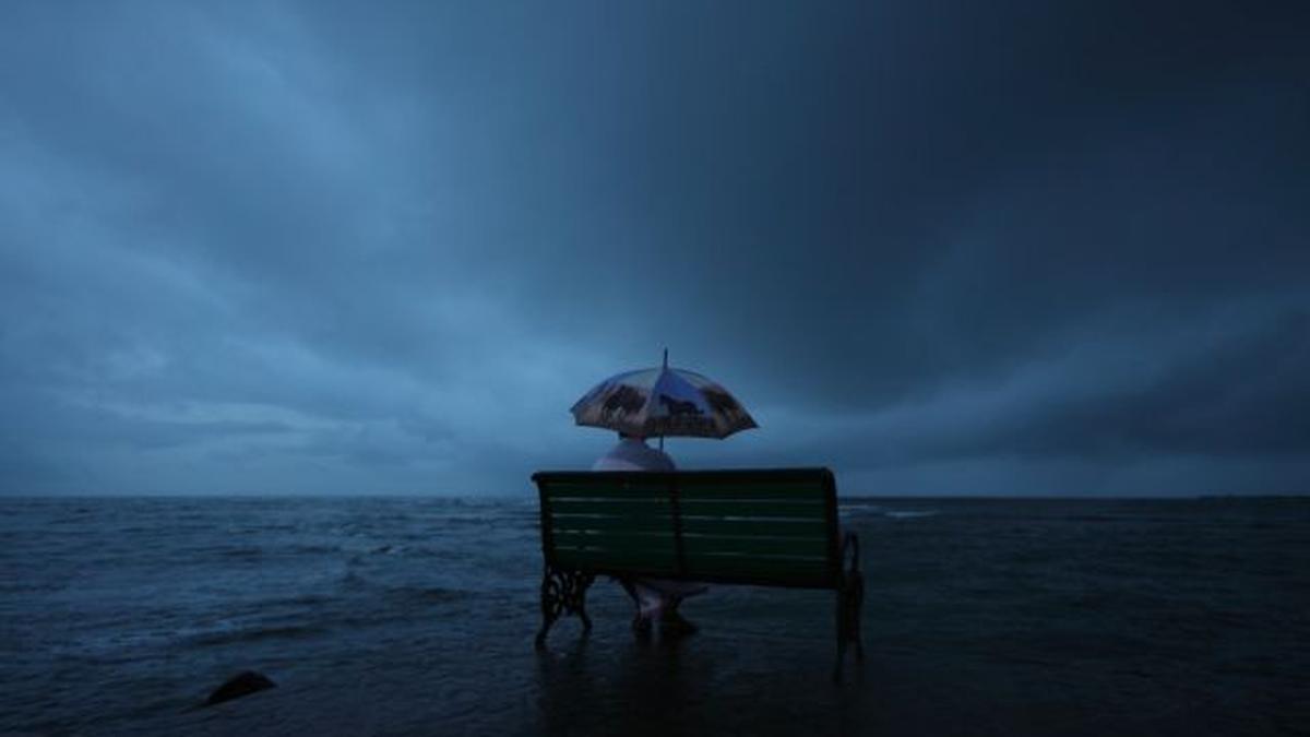 Monsoon scene not so bleak - The Hindu