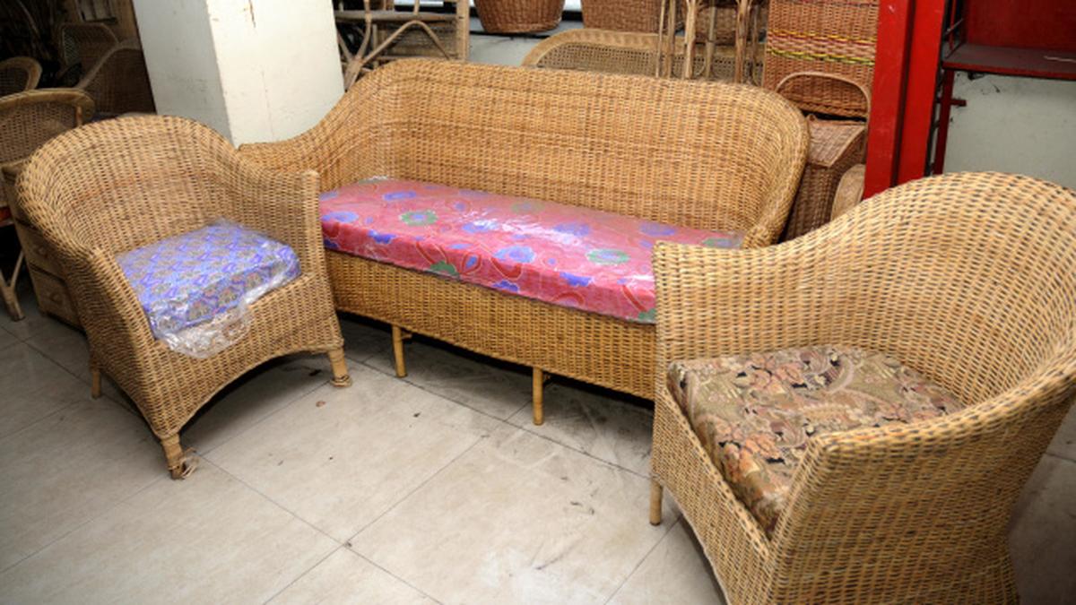 Pocket-friendly option - The Hindu