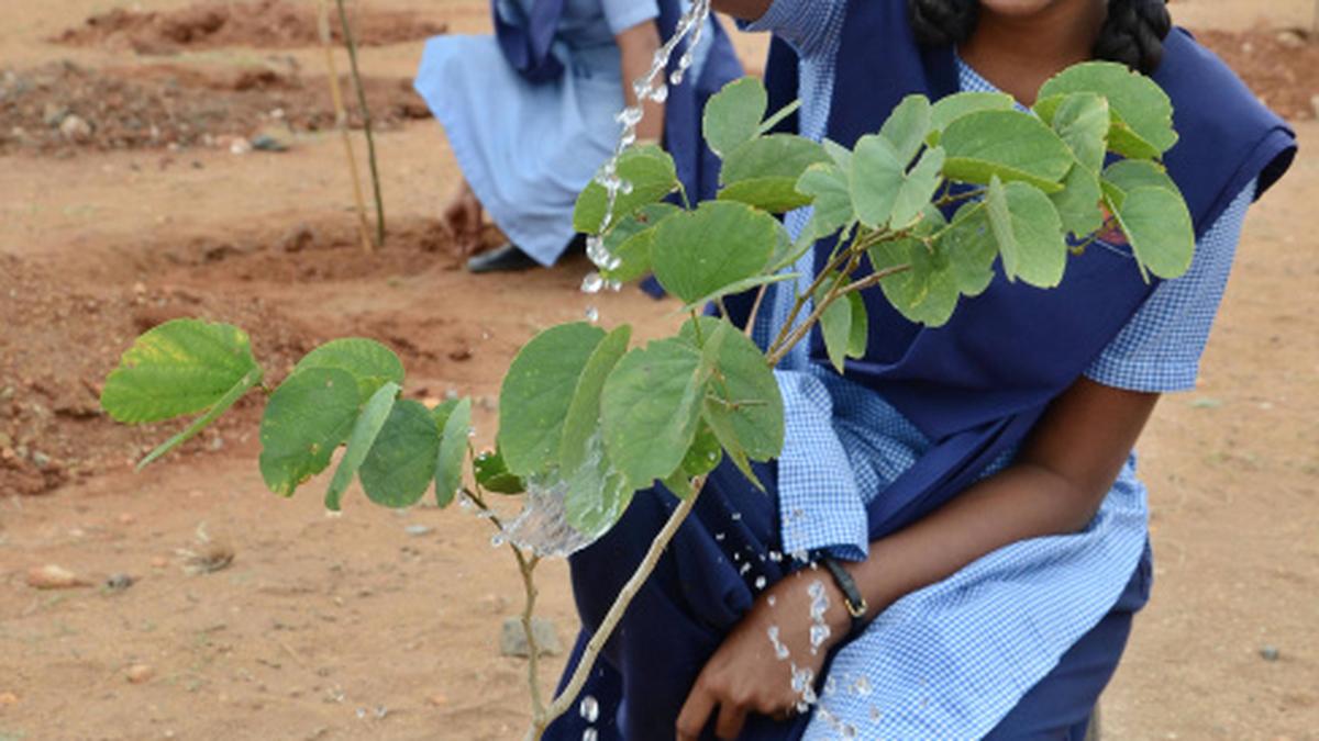 Pasumai Payanam launched at railway quarters - The Hindu