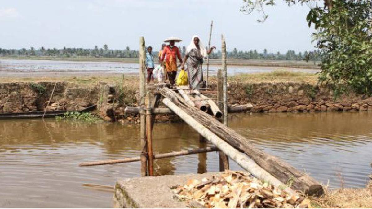 Rs 243 lakh eco-restoration project for Upper Kuttanad - The Hindu