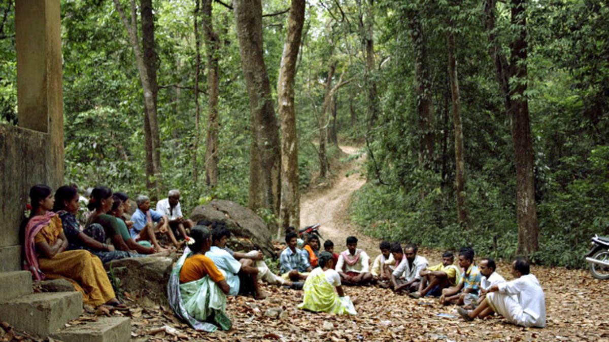 Caught in a vortex, Malekudiyas of Kuthlur yearn for freedom - The Hindu
