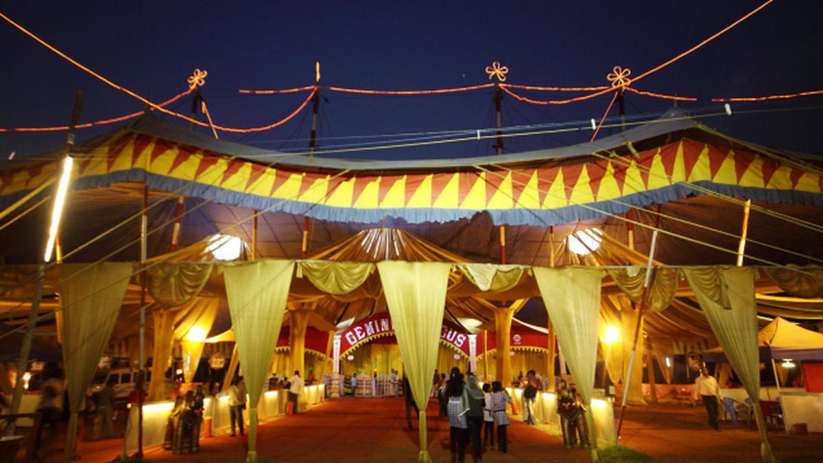 The changing face of the circus - The Hindu