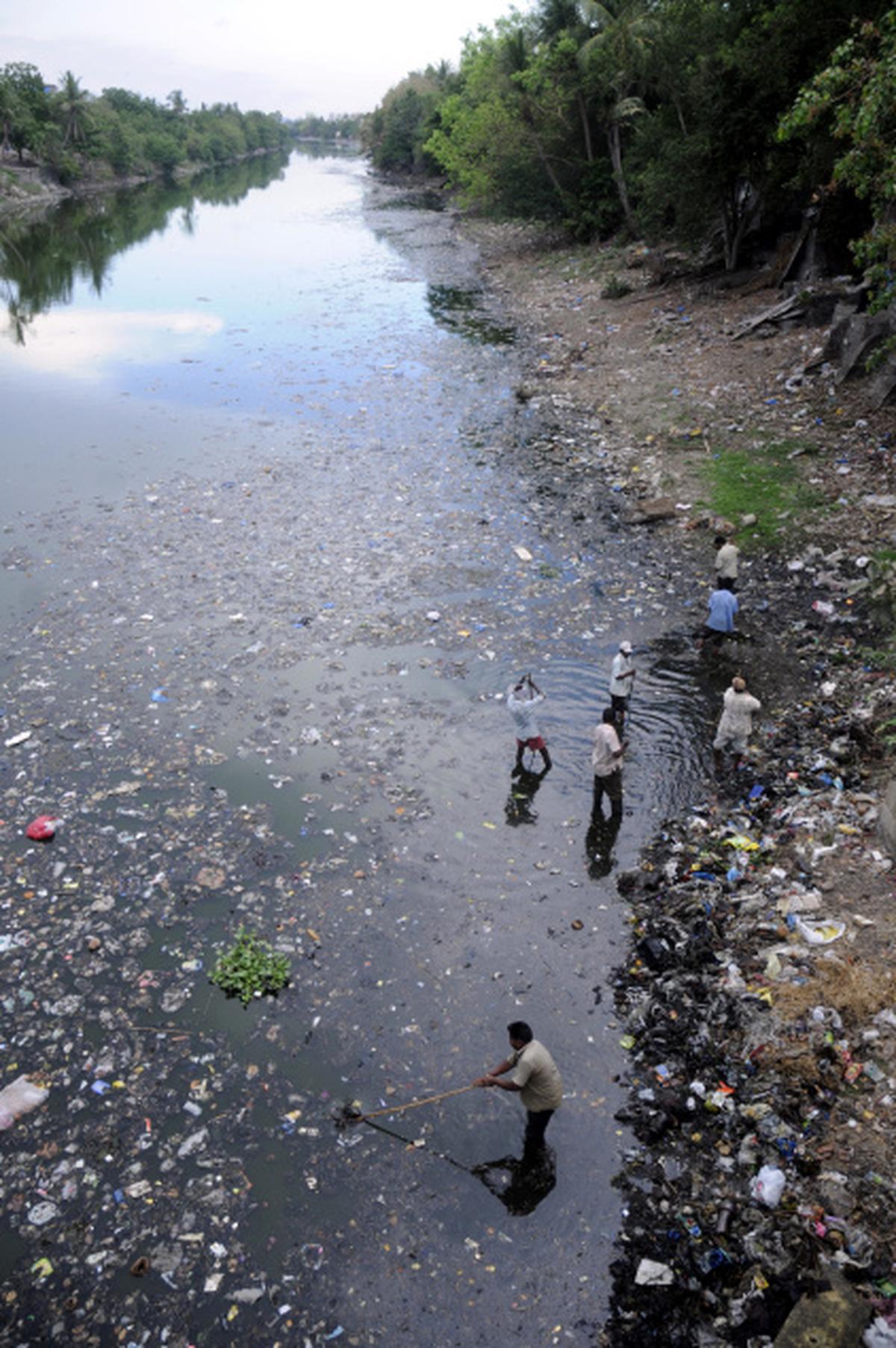 Major canals critically polluted in city - The Hindu