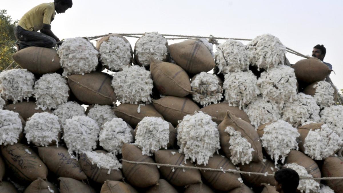 Manmohan Singh steps in to douse cotton fire - The Hindu