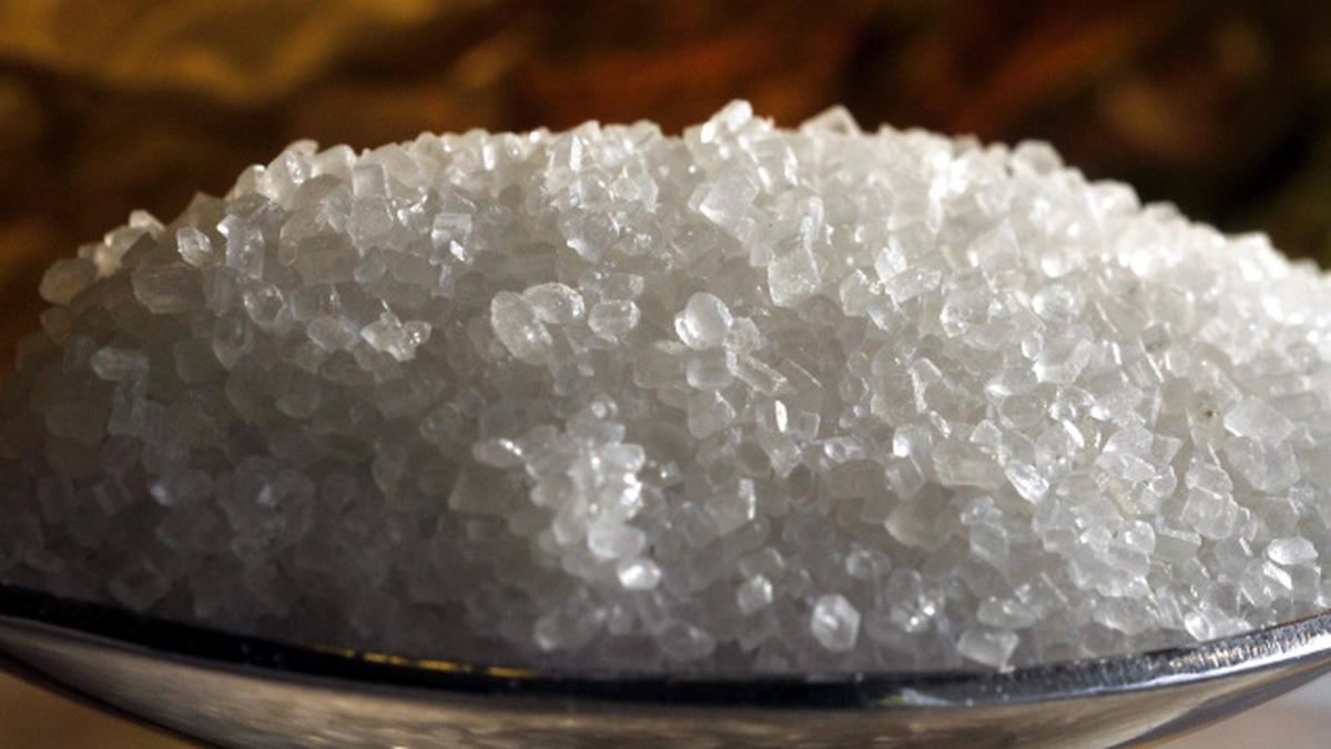 Harmful effects of excess sugar intake - The Hindu