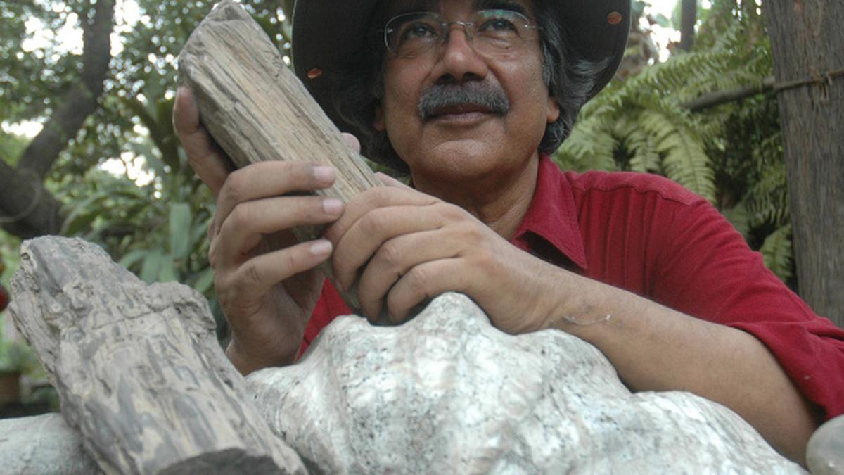 Mike Pandey gets Shantaram Award - The Hindu