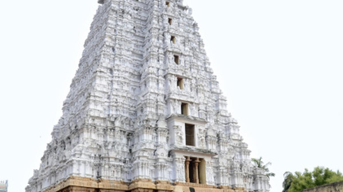 The legend of Vellayi - The Hindu