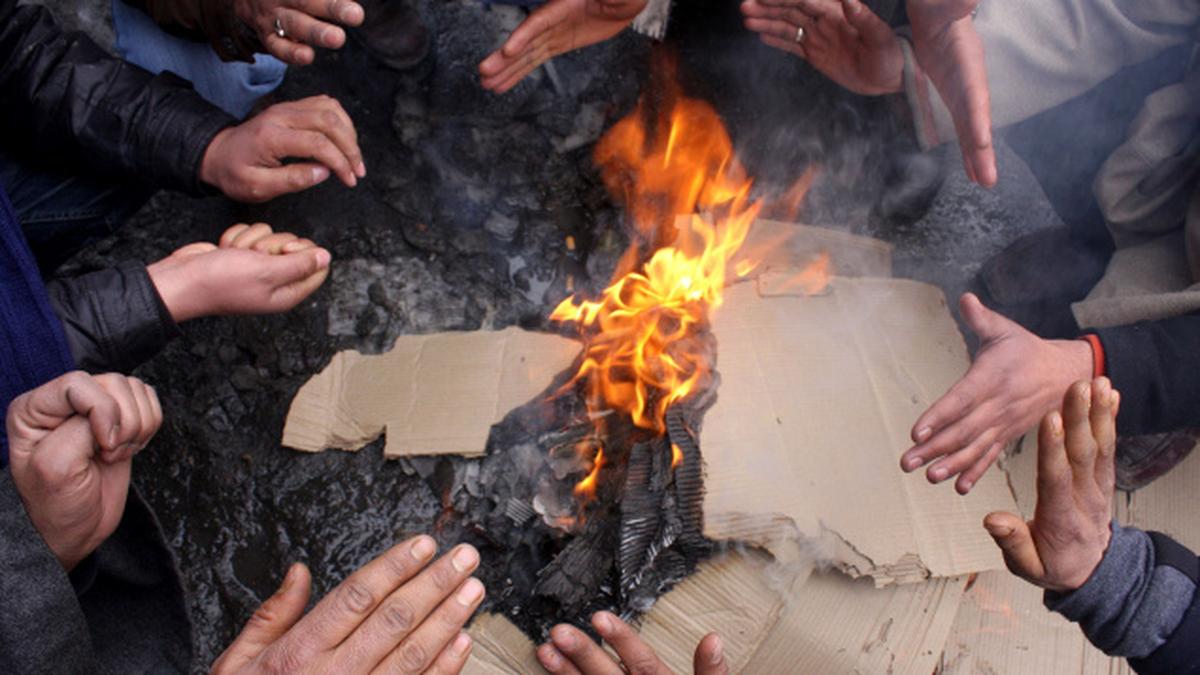 North India reels under severe cold wave; 7 die - The Hindu