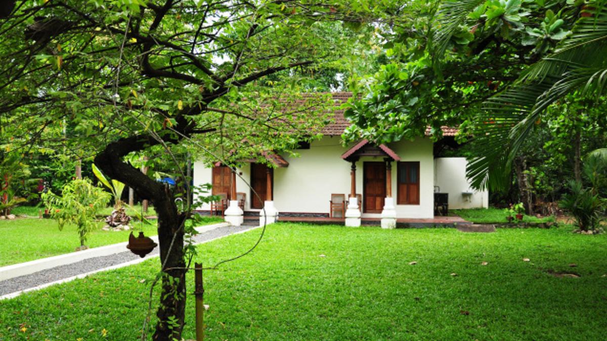 Backwater hideaway - The Hindu