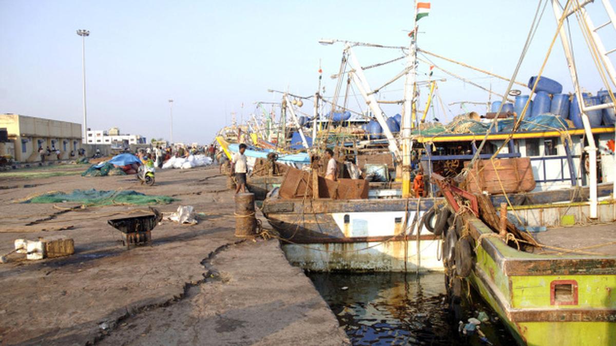 Move to shore up facilities at Kasimedu fishing harbour - The Hindu