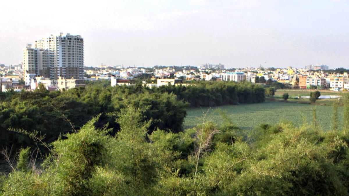 The crowded skyline of Bilekahalli - The Hindu