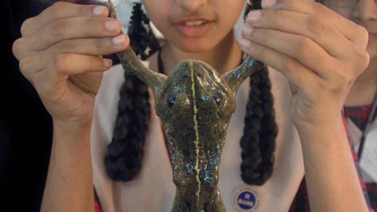 Cutting out dissection in classrooms - The Hindu