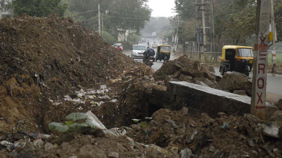 Lake or cesspool? - The Hindu