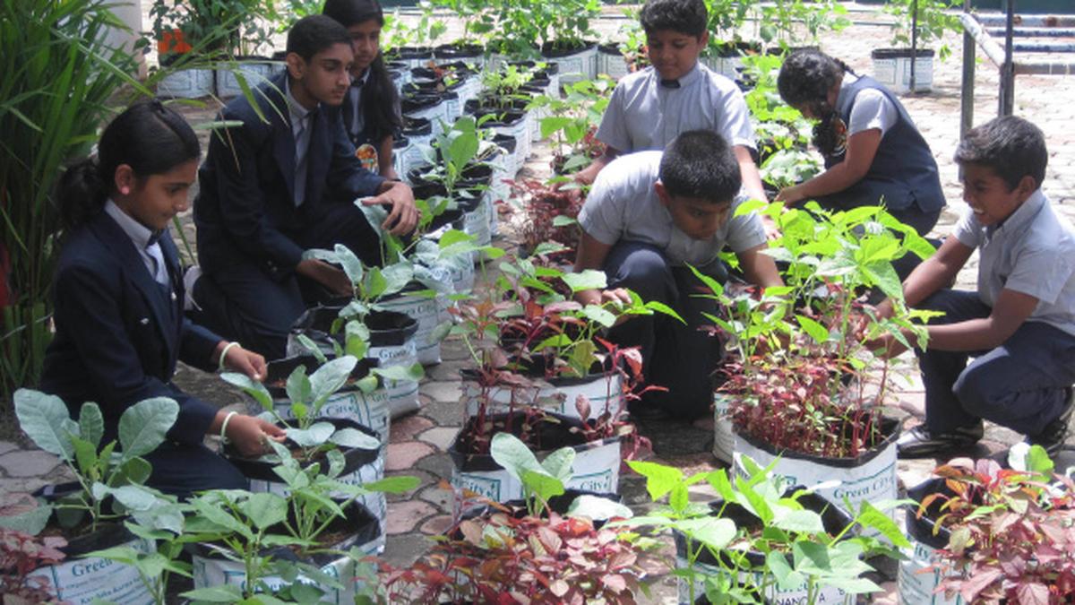 School students show farming skills in Science Fair - The Hindu