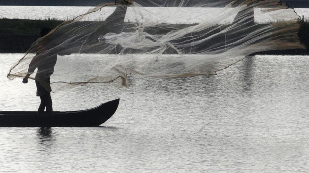 Project highlights tourism potential of Chellanam - The Hindu