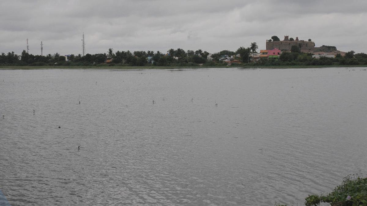 Storage level in rain-fed tanks in Tiruchi district yet to go up - The ...