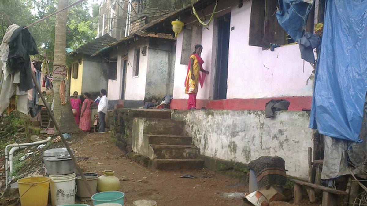 Living amidst stench - The Hindu