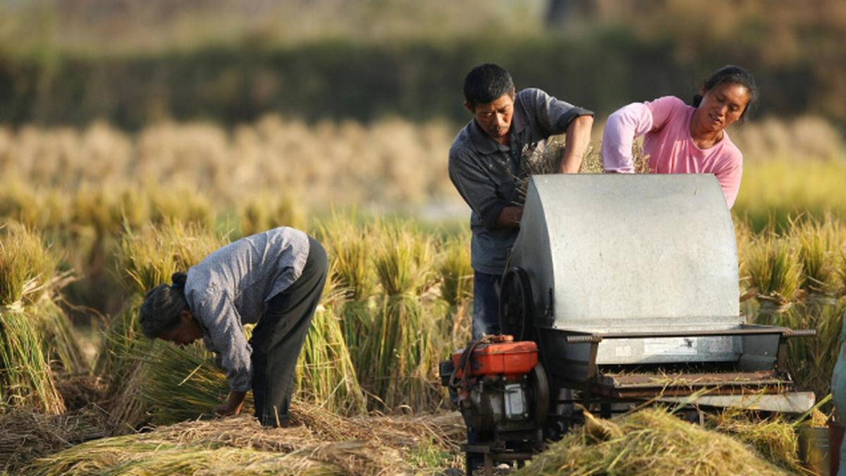 China's rural poverty falls but inequality rises, says white paper ...
