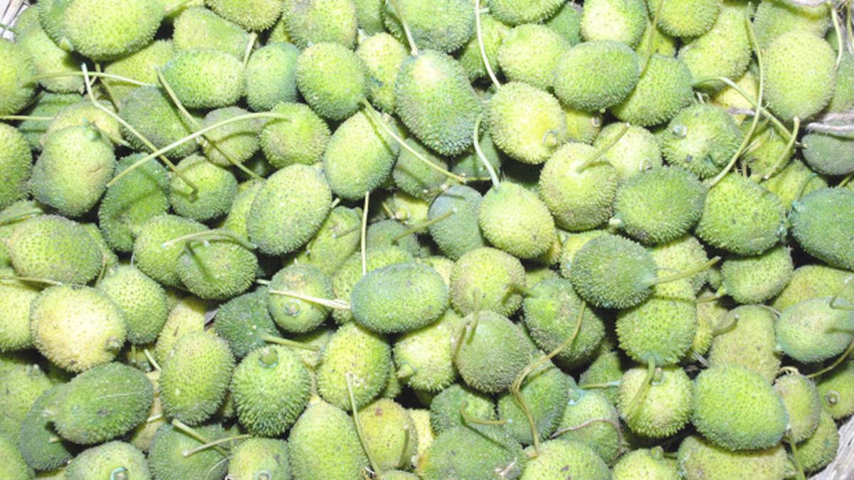 Kolkata's Kantola, Parwal are in great demand - The Hindu