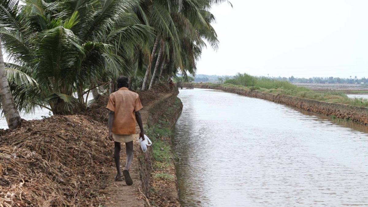 Poor implementation of Kuttanad Package schemes - The Hindu