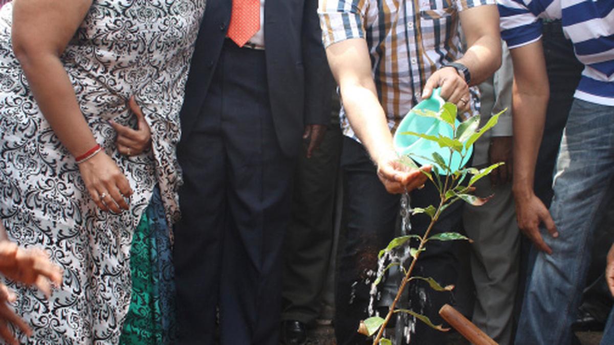 'Green Kalam turns out to be a success' - The Hindu