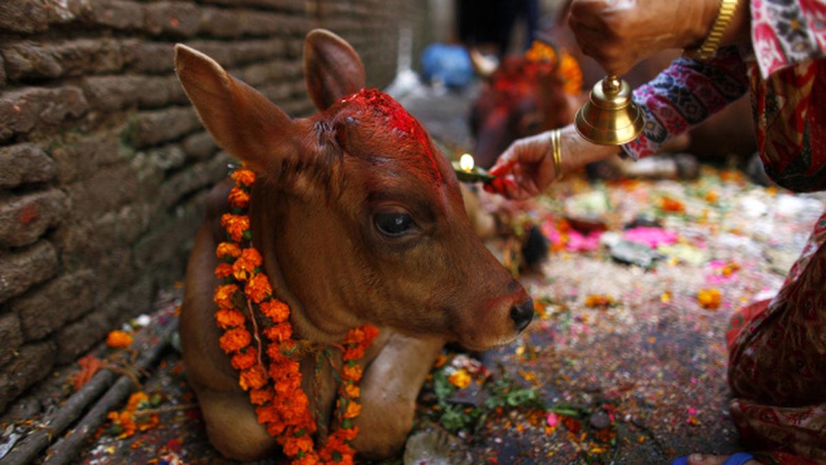 A bright Diwali - The Hindu