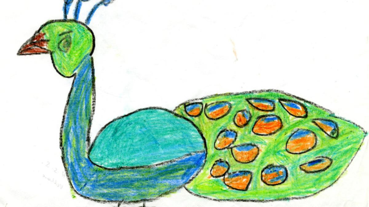 Drawings from Puducherry and surroundings - The Hindu