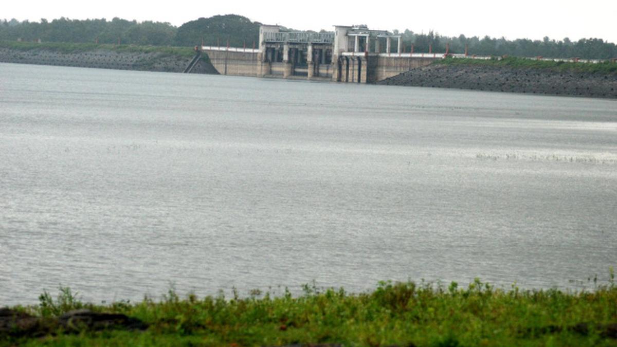 Walayar deer park to be made Safari Park - The Hindu