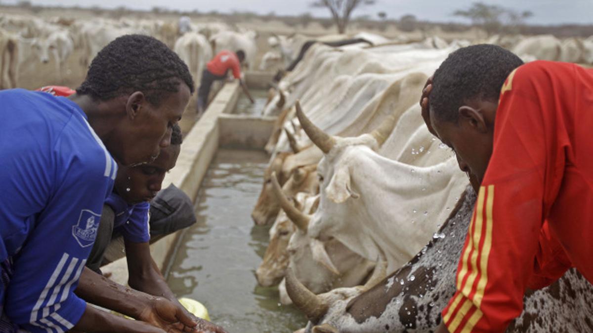 'One billion people live without access to safe drinking water' - The Hindu