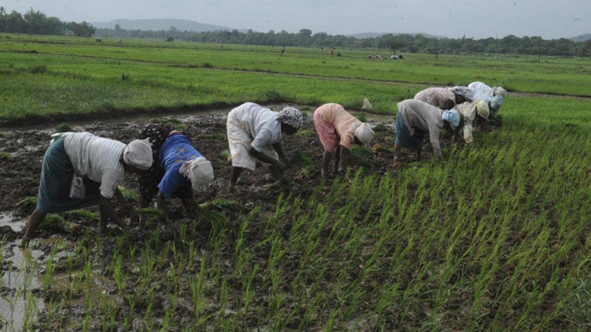Goa to promote mechanisation of farming - The Hindu