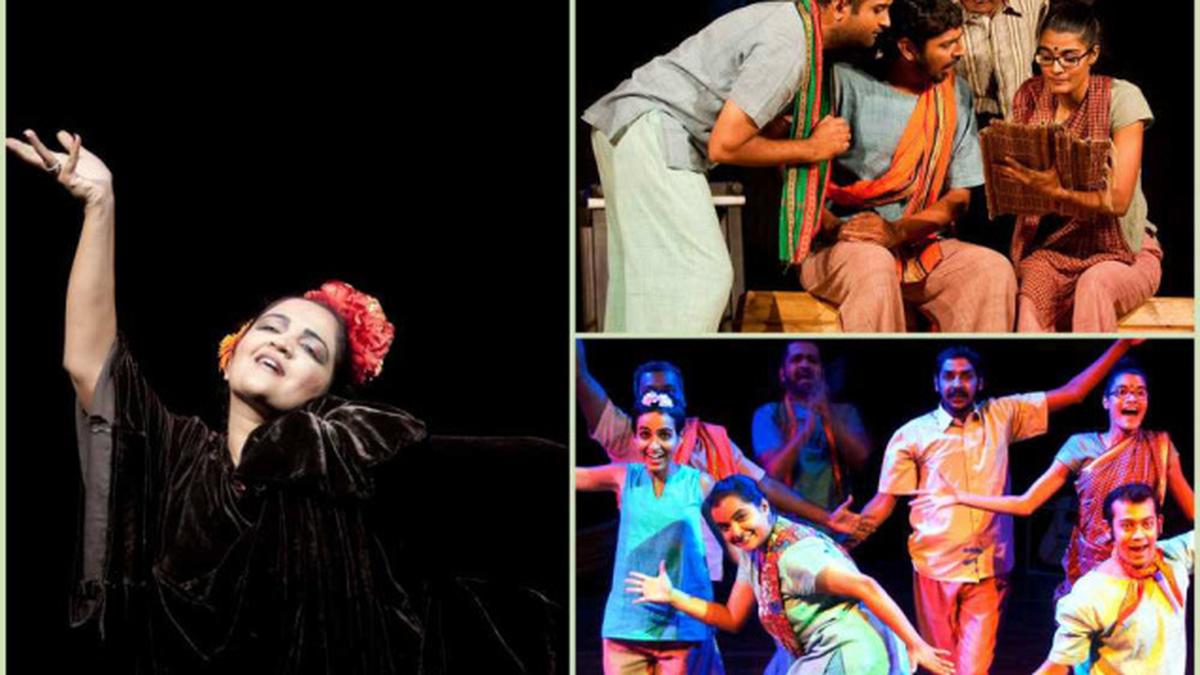 Ms. Meena - The Hindu