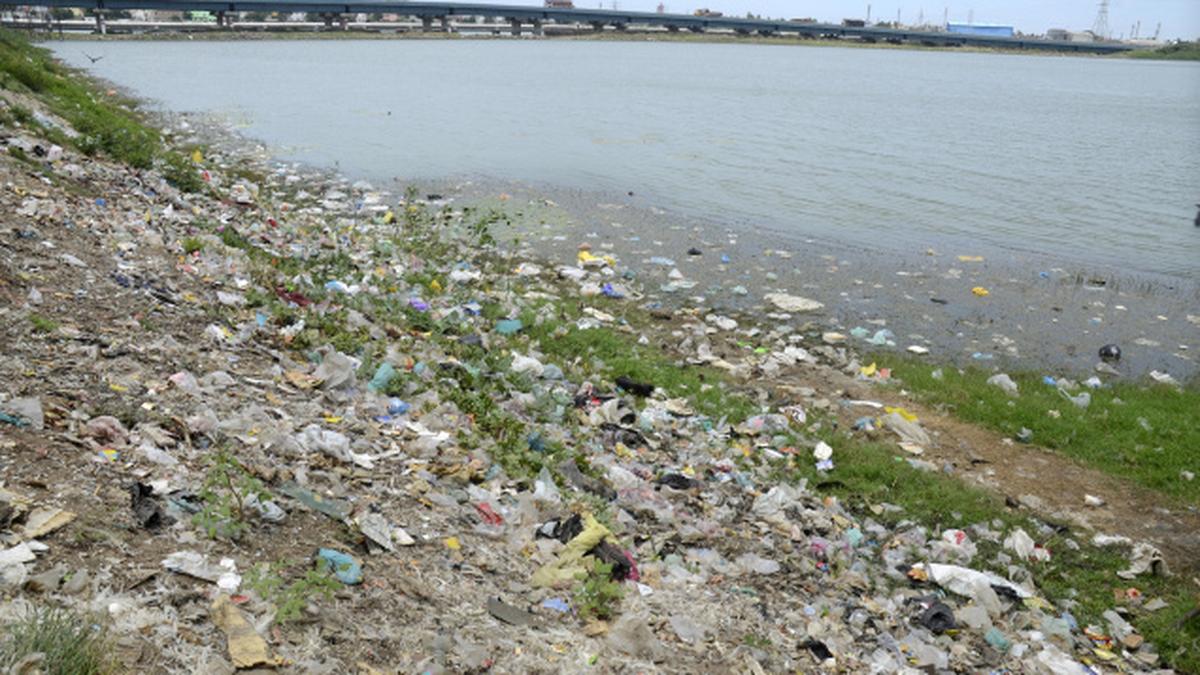 Porur lake remains neglected - The Hindu