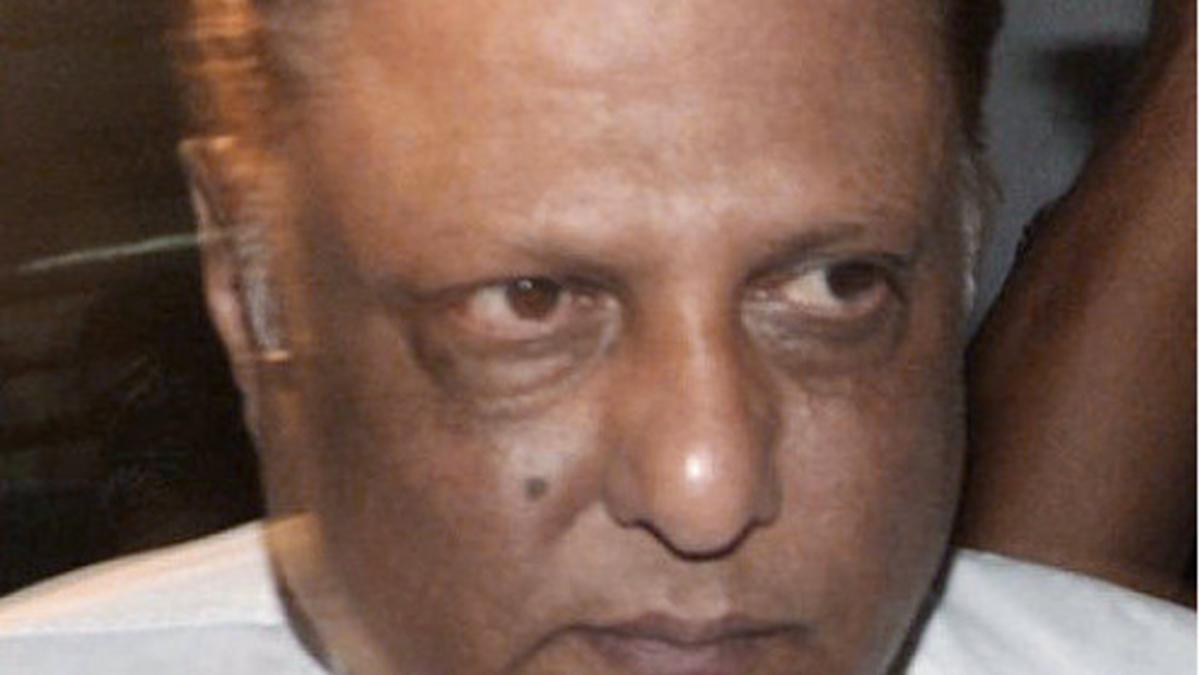 Supreme Court stays release of Hasan Ali on bail - The Hindu