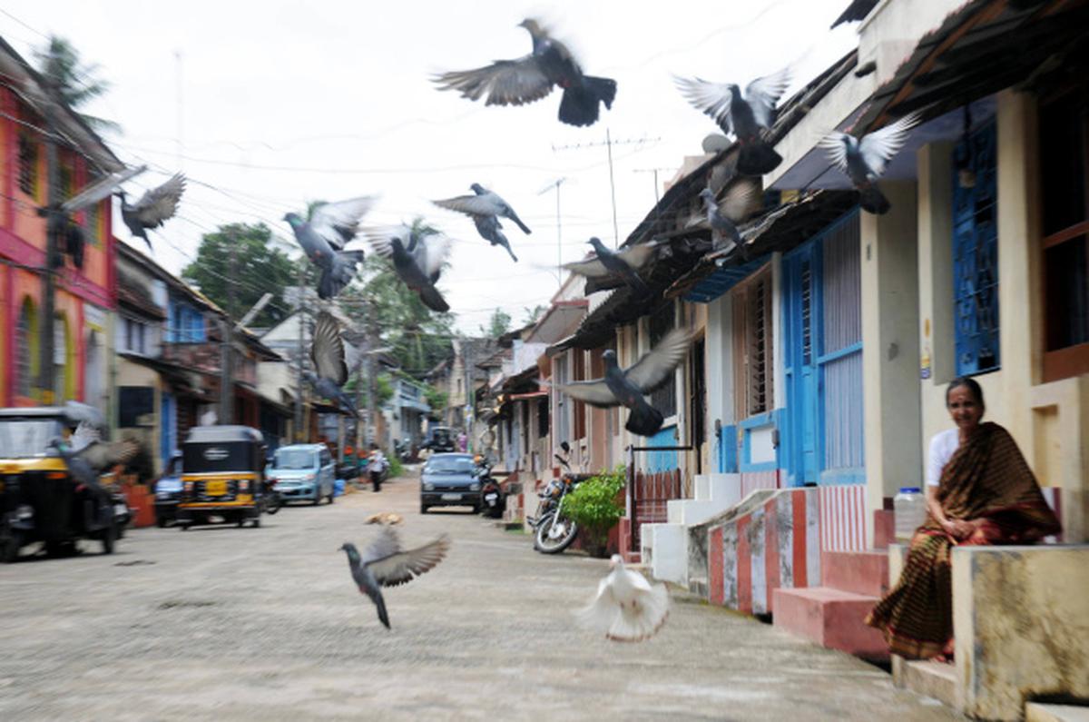 Agraharams on the way out? - The Hindu