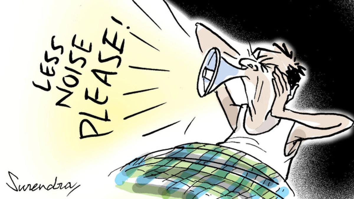 Are we becoming a nation of noise-makers? - The Hindu