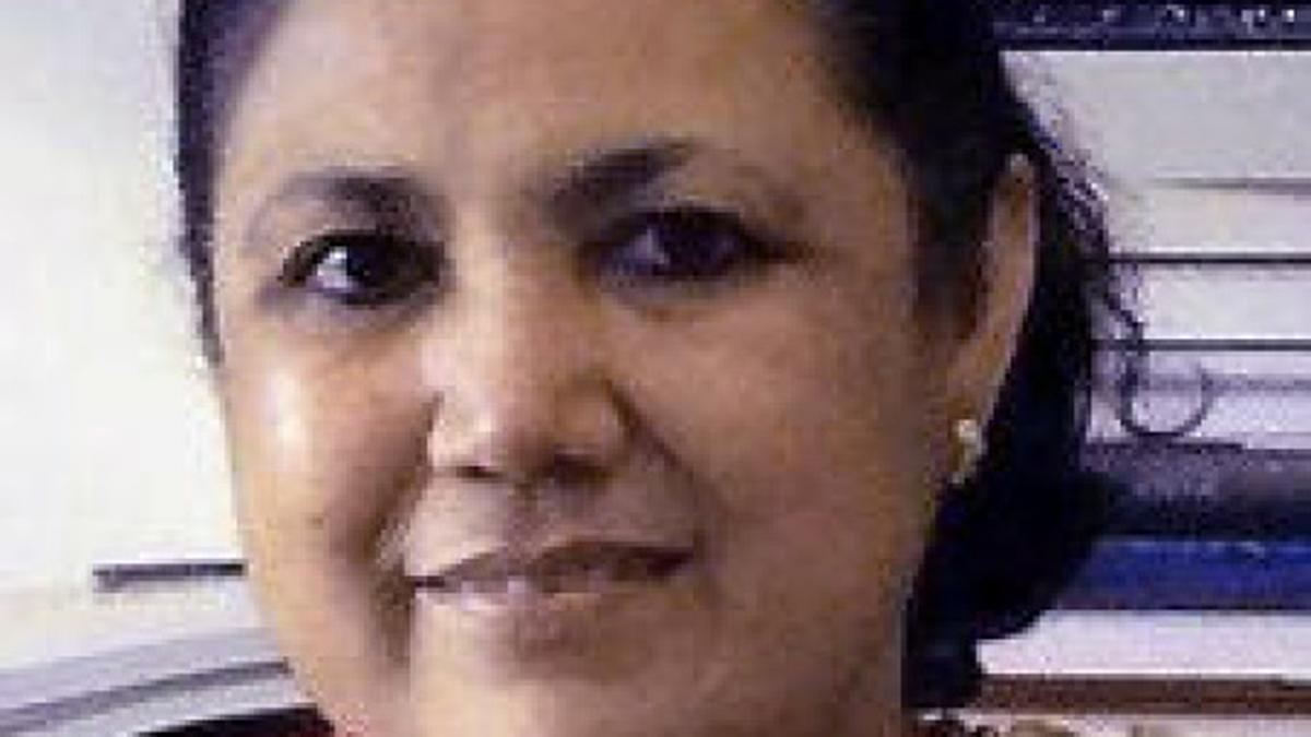 India-U.S. trade relationship broadly balanced: Meera Shankar - The Hindu