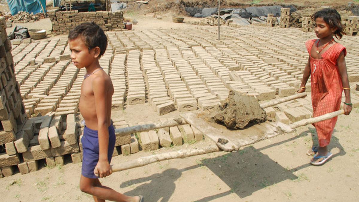 Behind the global scourge of child labour - The Hindu