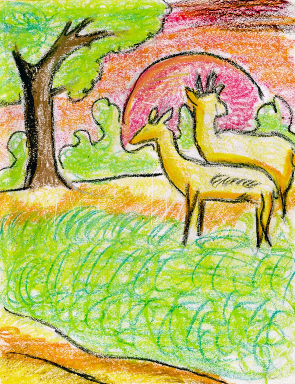 Drawings from North India - The Hindu