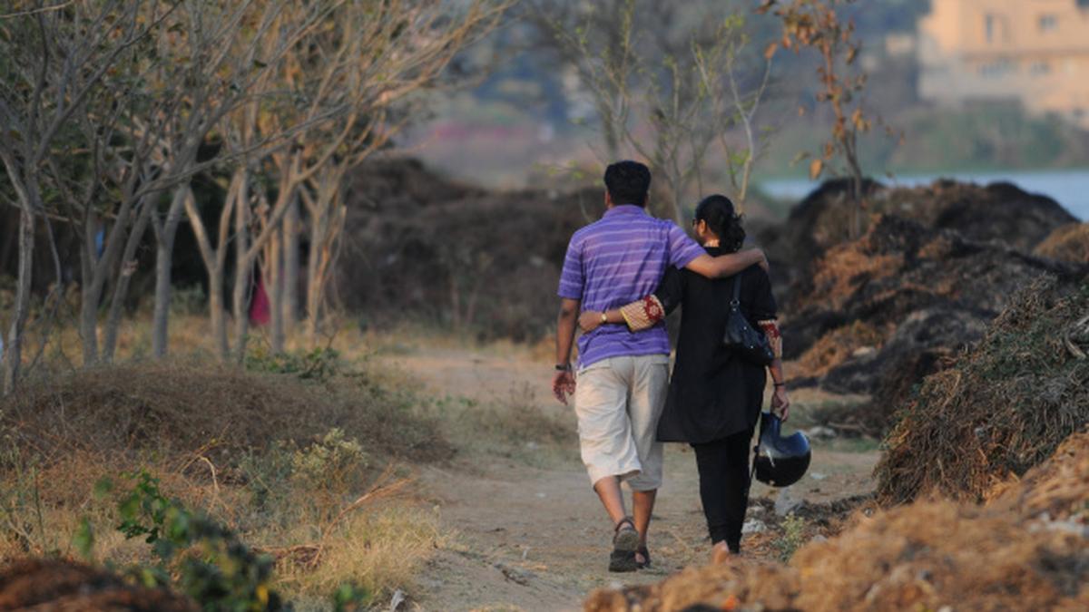 The Shrinking Universe: Who's the boss? - The Hindu