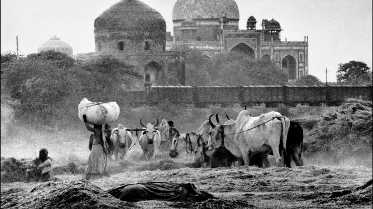 Shiv Visvanathan on Raghu Rai’s latest book and exhibition - The Hindu