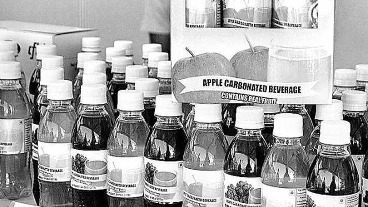 Carbonated fruit juices - The Hindu