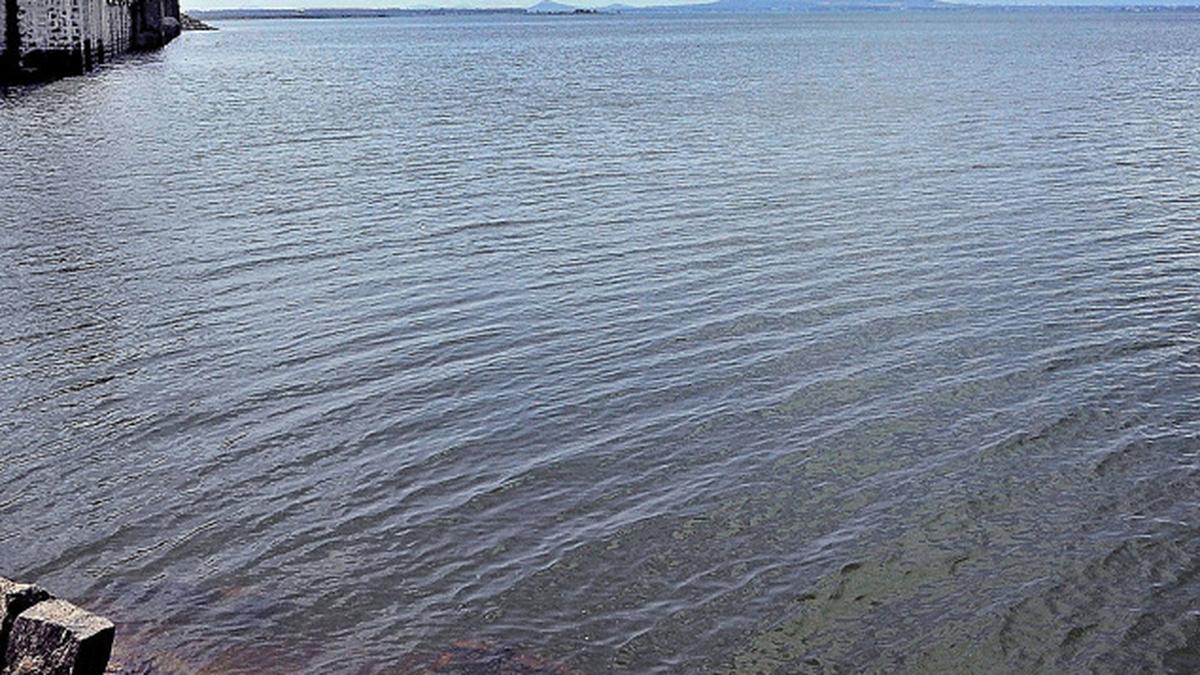 Periyar-Vaigai basin has adequate water - The Hindu