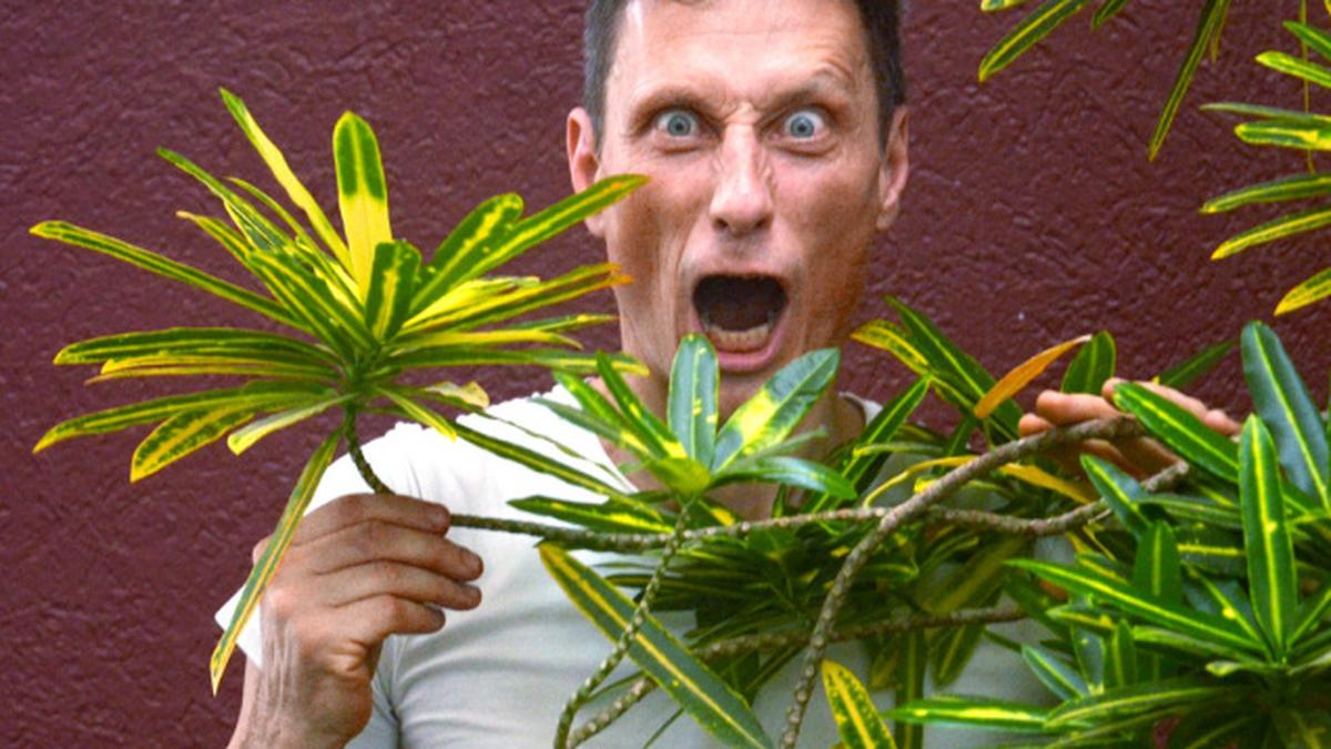 The magic of mime - The Hindu