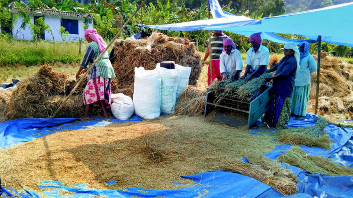 Farming lessons from hamlet - The Hindu