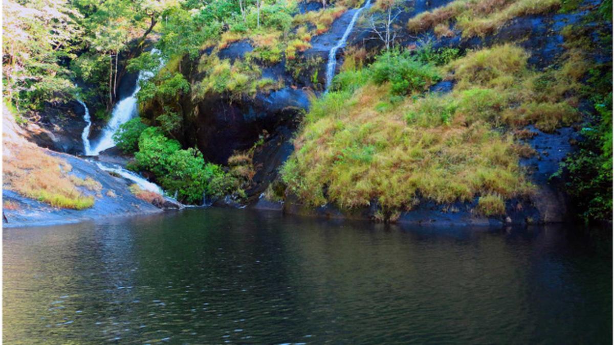 Dam Safety Authority visits Kunnar dam - The Hindu