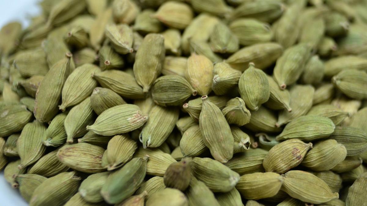 ‘Organic tag to boost Sikkim’s cardamom exports’ - The Hindu