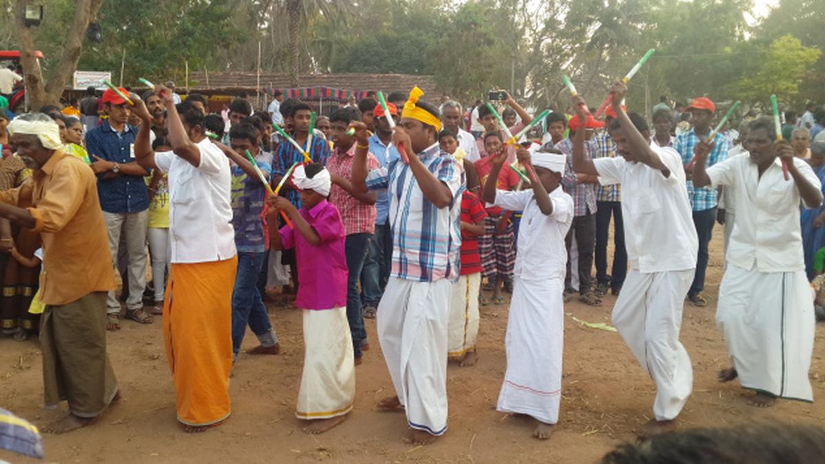 SHANTHINI RAJKUMAR learns about the magnificent cattle that is the ...