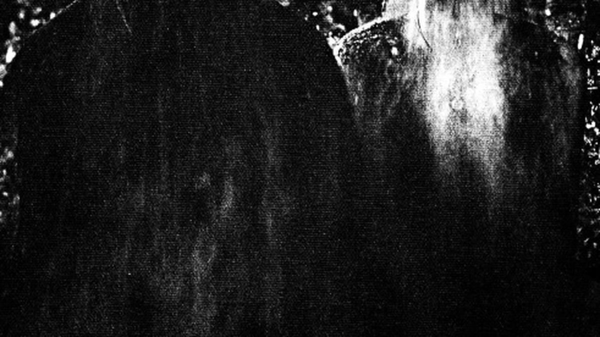 Nada Kusti makes it to cover page of international book - The Hindu